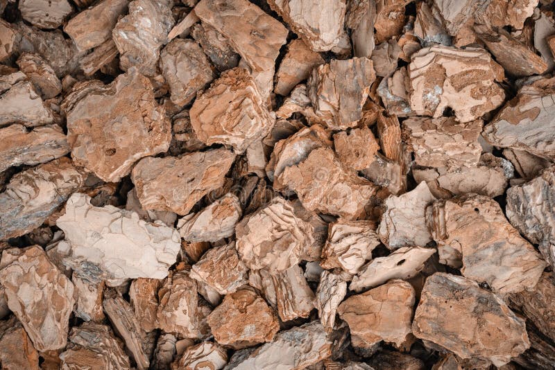 Background of Pine Bark Nuggets Layer Stock Image - Image of wood ...
