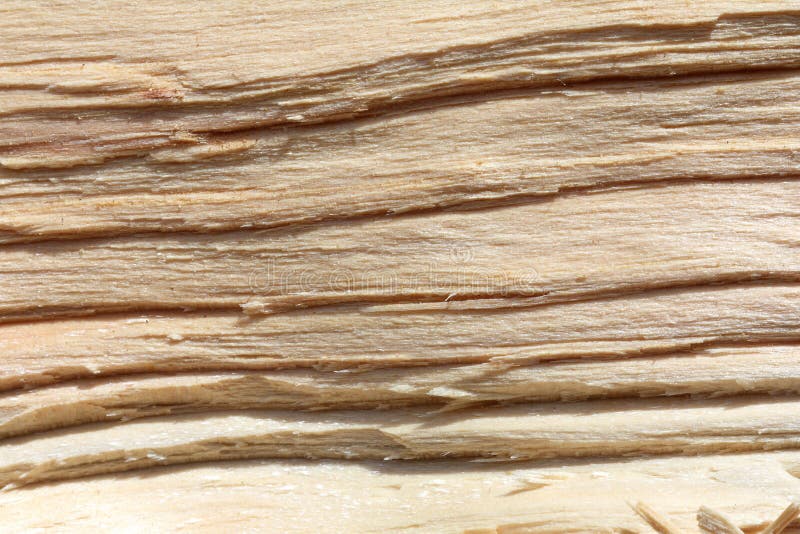 Chopped wood texture stock photo. Image of cracked, panel - 245145928