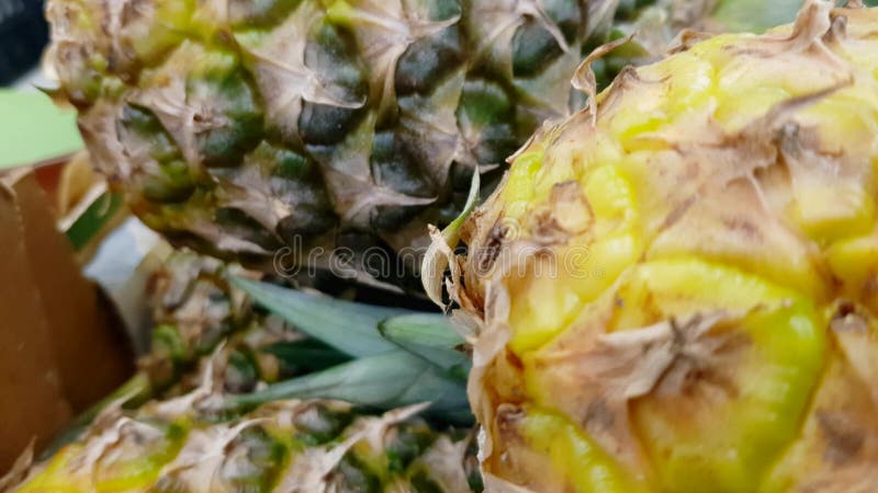 Background Pineapple Exotic Fruit Texture Close-up 4K 30fps UltraHD ...