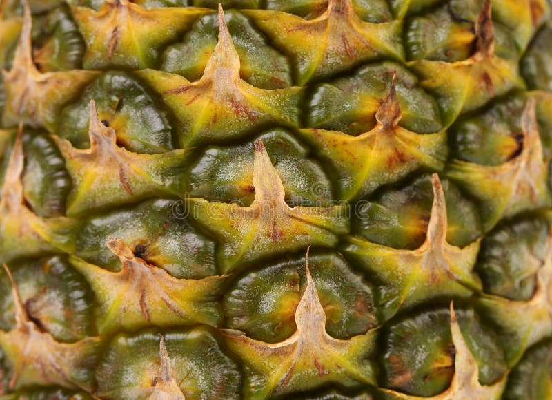 Background of Pineapple Fruit. Close Up Stock Photo - Image of macro ...