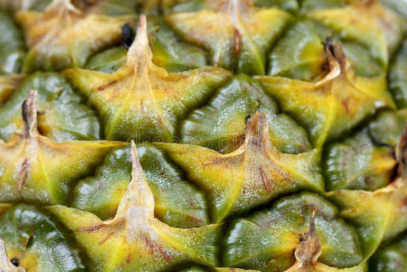 Background of Pineapple Skin. Stock Image - Image of pattern, brown ...