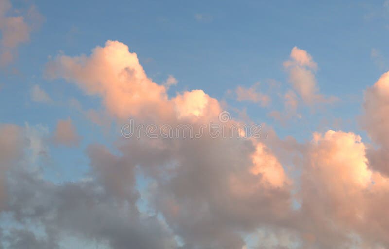 Background Pink Clouds Float Across the Sky Stock Image - Image of ...