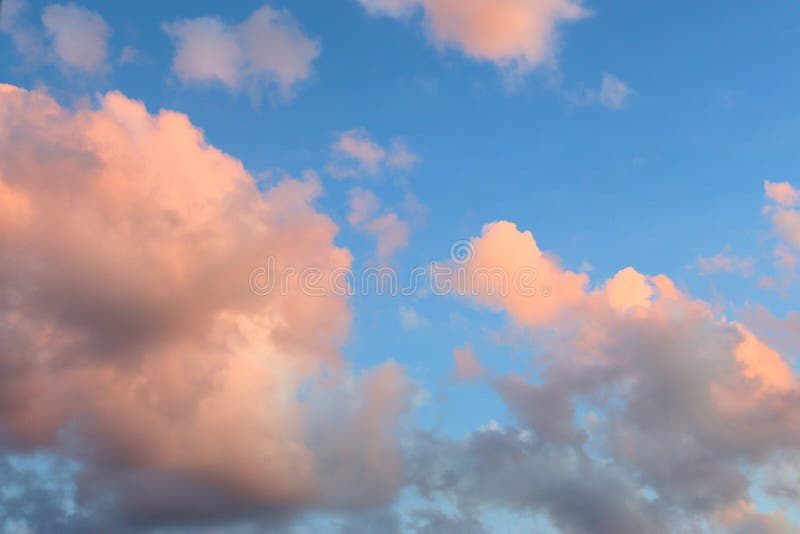 Background Pink Clouds Float Across the Sky Stock Image - Image of ...