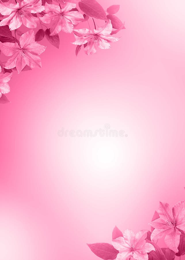 Flying Soft Pink Rose Petals. Delicate Flowers Blossom, Blooming ...