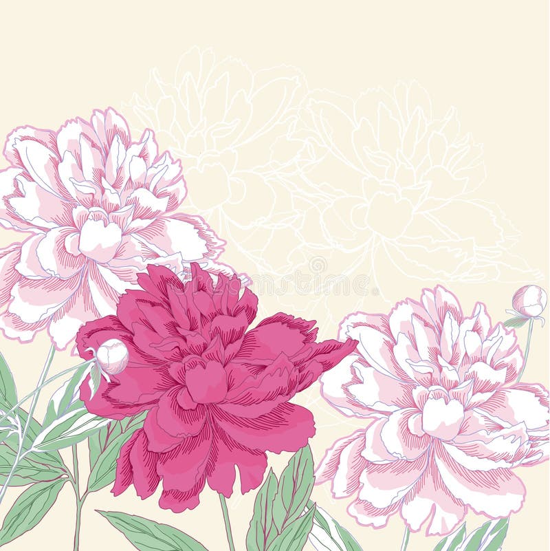 Background with pink peony stock vector. Illustration of pattern - 37016555