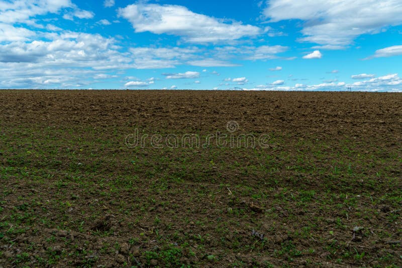 The Background is a Plowed Field and Beautiful Clouds. Deep Furrows in ...