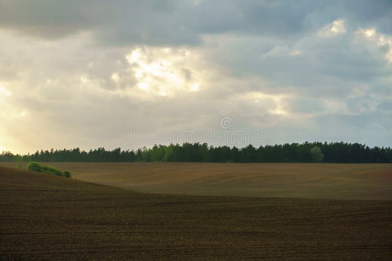 The Background is a Plowed Field and Beautiful Clouds. Deep Furrows in ...
