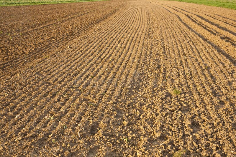 Background of plowed field stock photo. Image of acre - 43503302