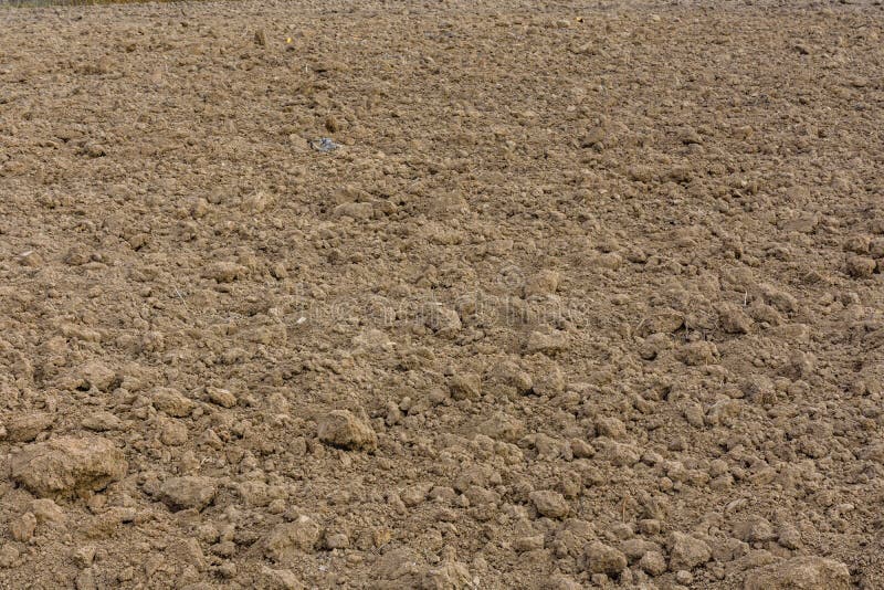 Background of the Plowed Field Prepared for Sowing Stock Photo - Image ...