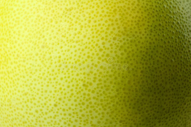 Background of pomelo stock photo. Image of close, fresh - 66566296