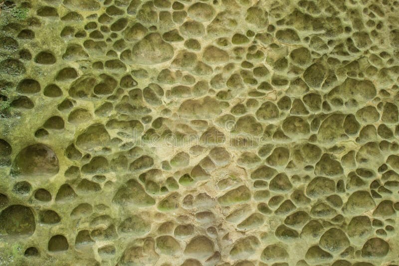Coquina Natural Porous Stone. Construction Material Stock Image - Image ...