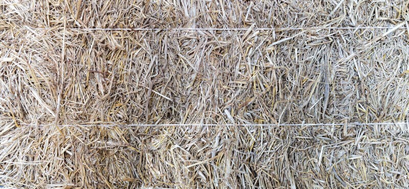 Background Portrait of Haystack. Agriculture Symbol, Hay Bale Group ...