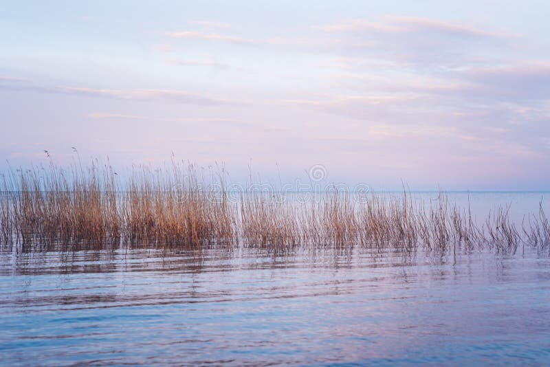 Background of Pre-sunset Clouds in the Lake Stock Photo - Image of ...