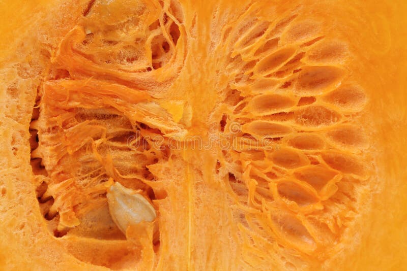Background of Pumpkin Slice. Macro Stock Photo - Image of taste ...