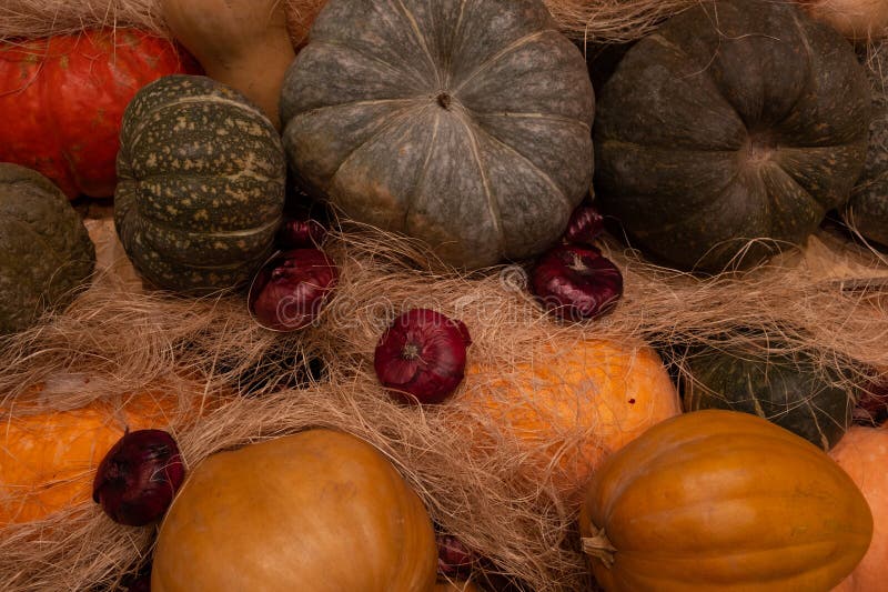 Background with Pumpkins and Hay, Close-up Stock Image - Image of ...