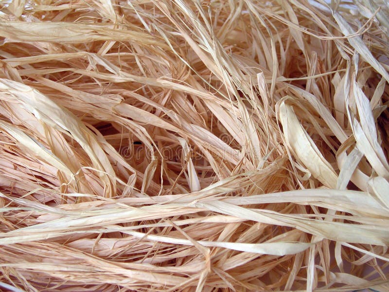 Background of rafetta stock photo. Image of season, fall - 333736