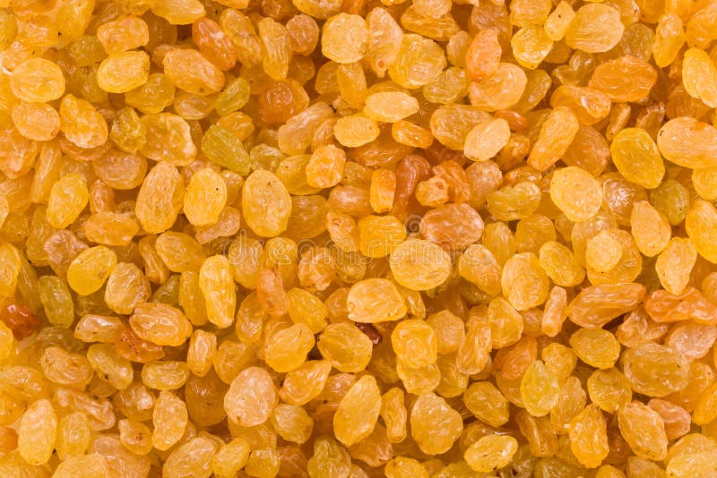 Background from raisin stock photo. Image of background - 4808268