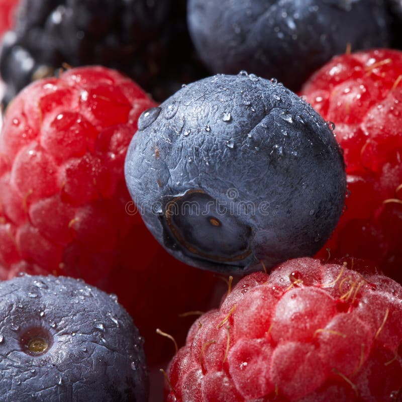 Background from Raspberry and Blueberry Stock Photo - Image of berry ...