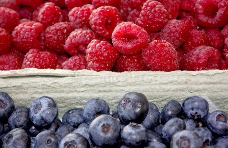 Raspberry and Blueberry in Packing Containers, Woman`s Hand Holding ...
