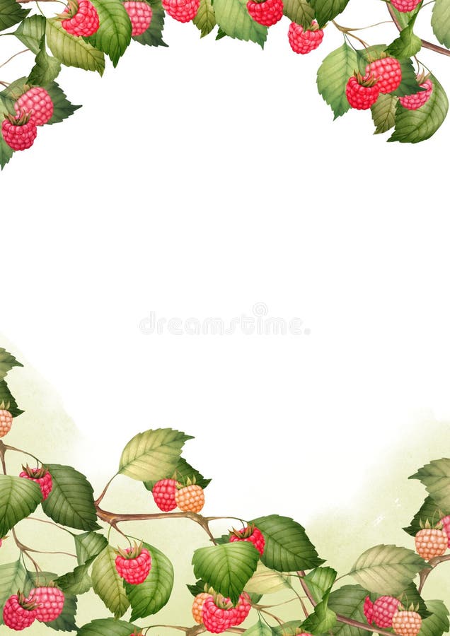 Background with Raspberry Branches and Leaves, Hand-drawn Botanical ...