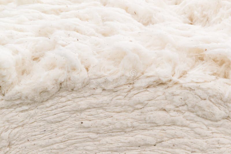 Background of raw cotton stock image. Image of swatch - 113564935