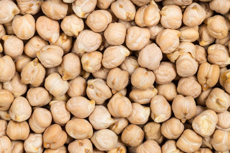 Chickpea seeds stock image. Image of plant, grain, outdoors - 93004863