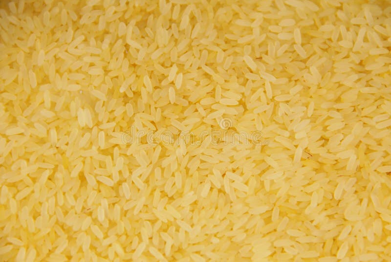 Background of a Raw Long Grain Rice Stock Photo - Image of diet ...