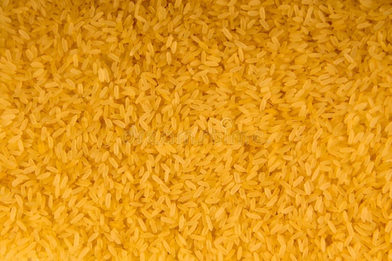 Background of a Raw Long Grain Rice Stock Photo - Image of harvest ...