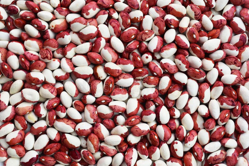 Background of Raw Mottled Beans Stock Image - Image of brown, health ...