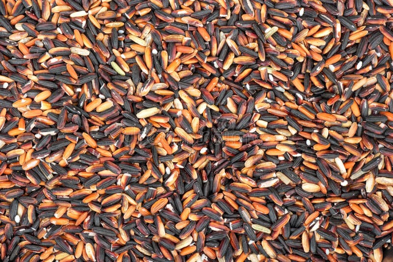 Raw wild rice stock image. Image of close, macro, ingredient - 117070953