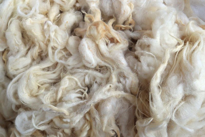 Background with raw wool stock photo. Image of icing - 366375406