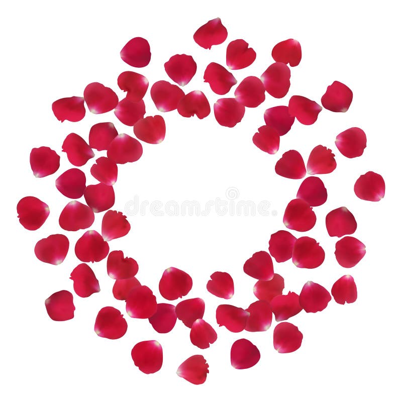 Background with Realistic Red Rose Petals Isolated on White Background ...