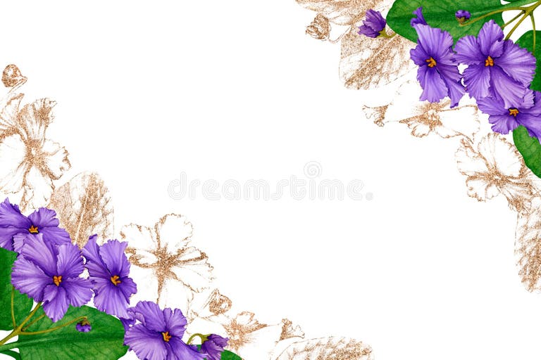 Background. Rectangular Floral Frame of African Violets. Hand Drawn ...