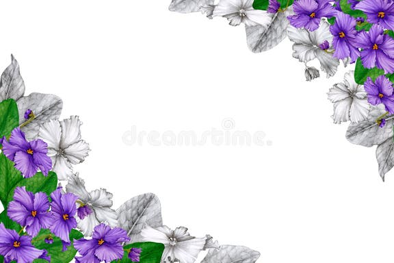 Background. Rectangular Floral Frame of African Violets. Hand Drawn ...
