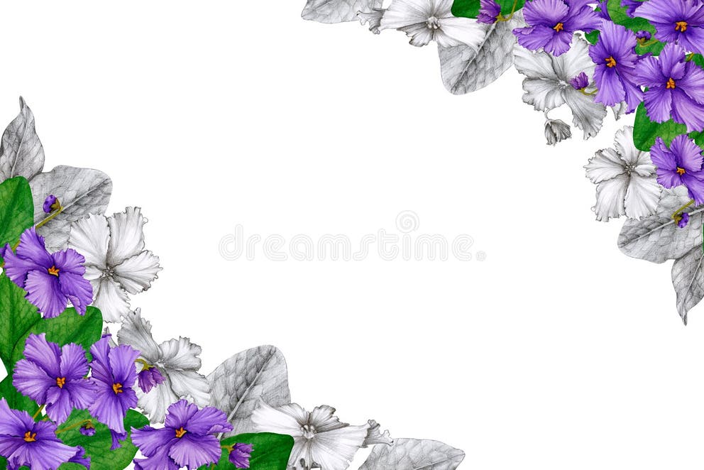 Background. Rectangular Floral Frame of African Violets. Hand Drawn ...