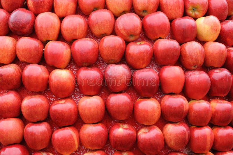 Background of red apples stock photo. Image of apple - 20088438