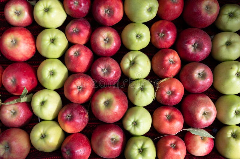 Background of Red Apples and Ripe Grapes. Fruit Texture Stock Image ...