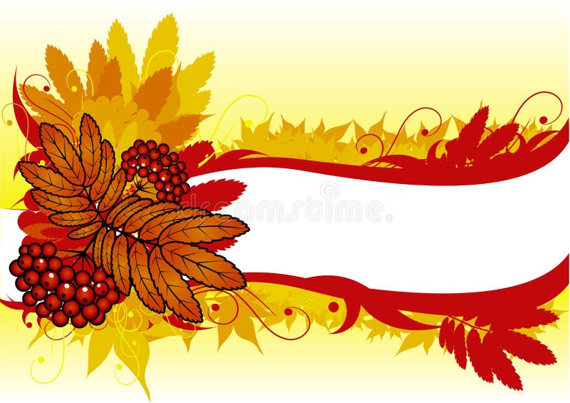 Background with Red Ashberry Stock Vector - Illustration of element ...