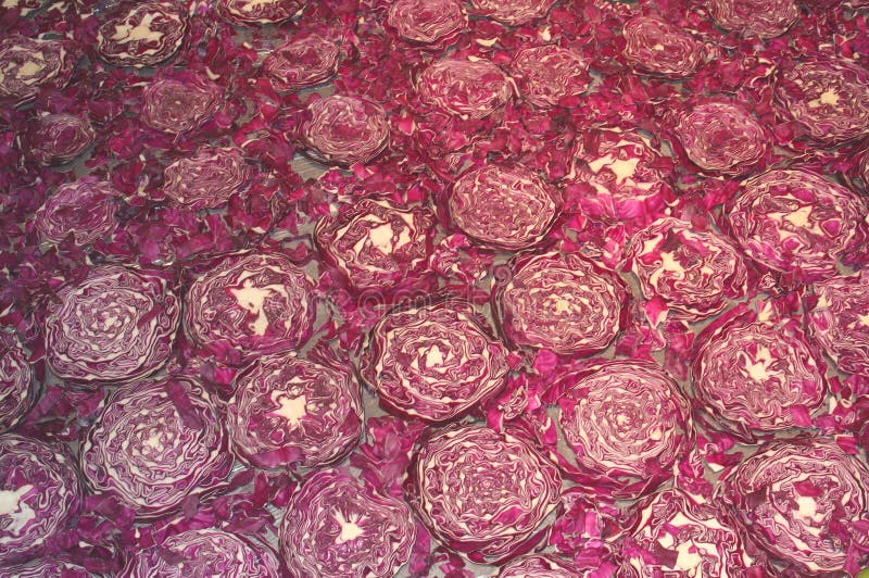 Background of Red Cabbage Vegetables Stock Photo - Image of colors ...