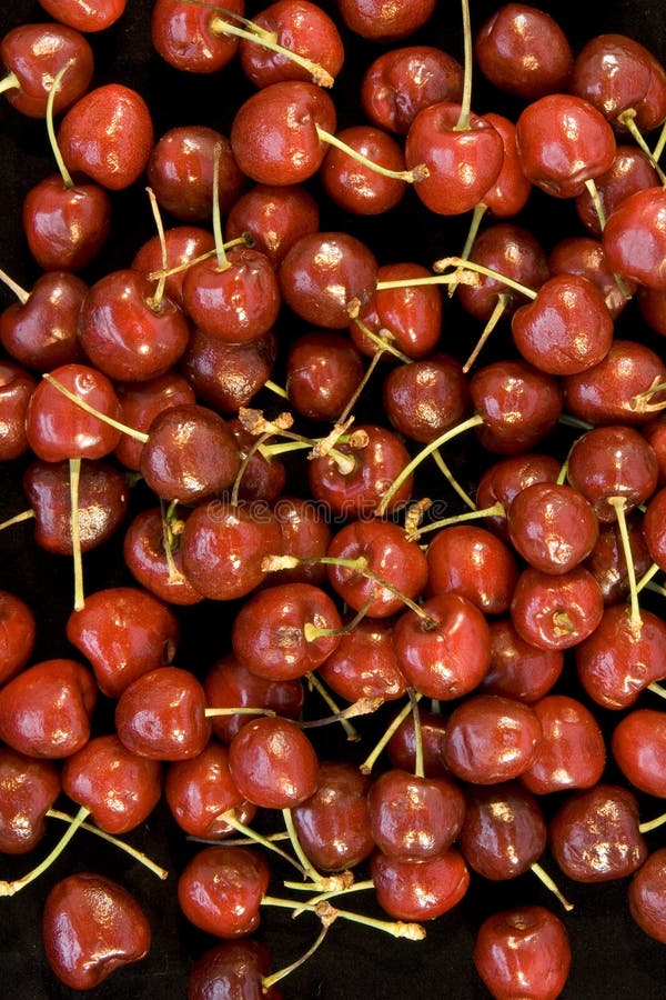 Background of red cherries stock photo. Image of nature - 5515382