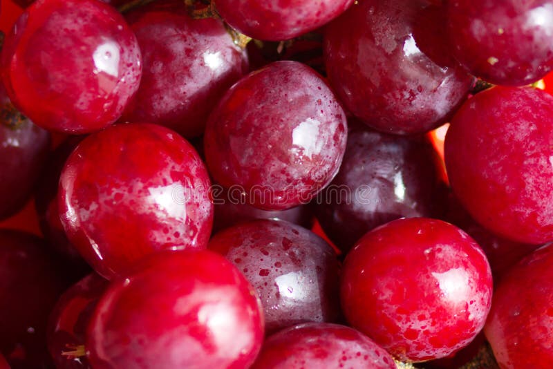 Background red grapes stock image. Image of bright, group - 117573311