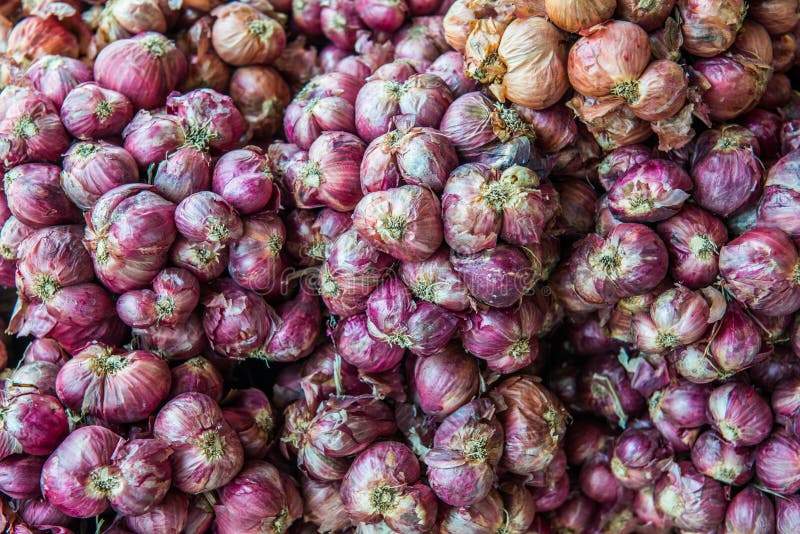 Background of red onion stock image. Image of produce - 263711927