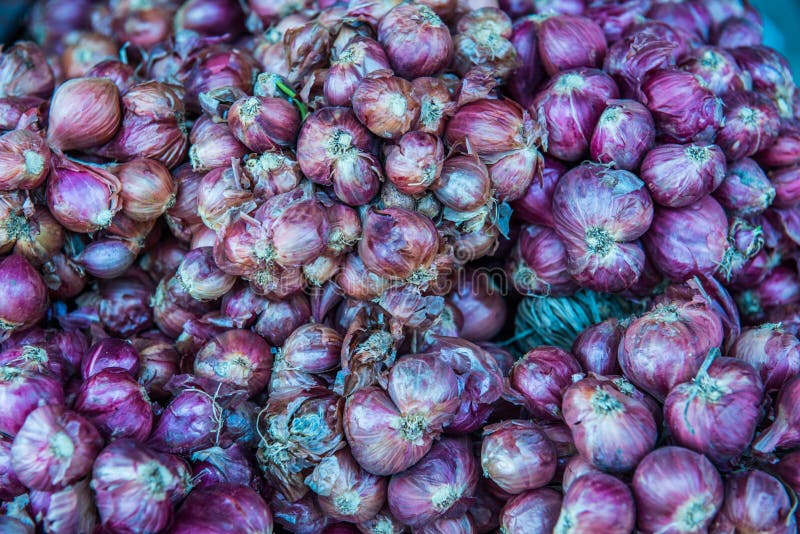 Background of red onion stock image. Image of pattern - 263711919