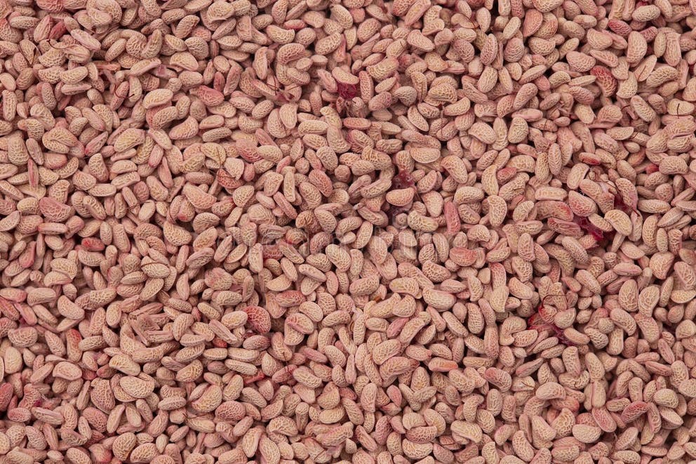 A Background of Red Raspberry Seeds in an Up Close Macro View Stock ...