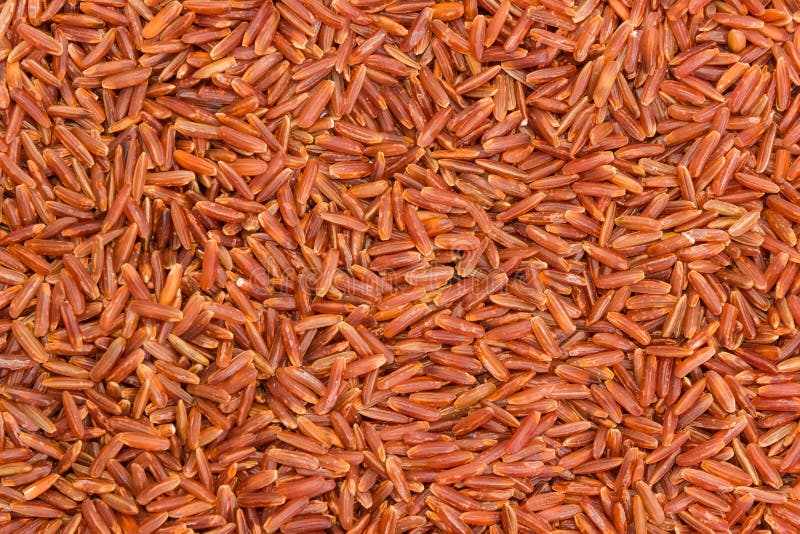 Background of the Red Rice Close-up Stock Photo - Image of anthocyanin ...
