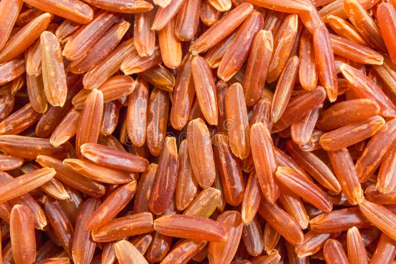 Background of the Red Rice Close-up Stock Photo - Image of value ...