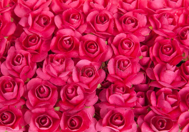Background of Red Rose Flowers. Many Red Roses Close Up Stock Photo ...