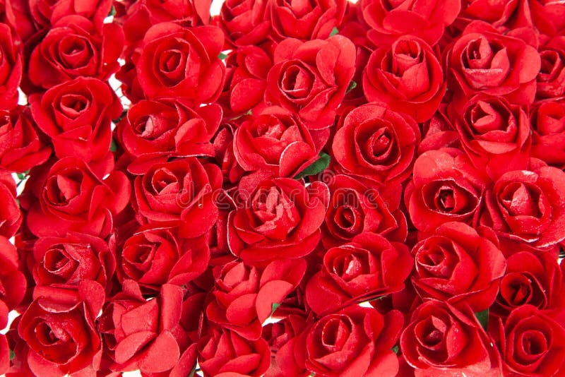 Background of Red Rose Flowers. Many Red Roses Close Up Stock Photo ...