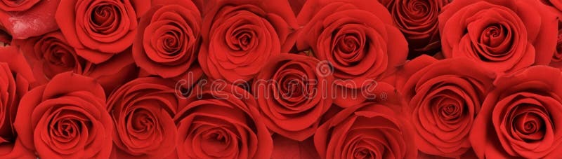 Background with Red Roses. AI Stock Illustration - Illustration of ...