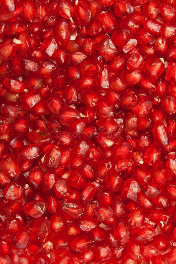 Background of red seeds stock photo. Image of pomegranate - 17492316